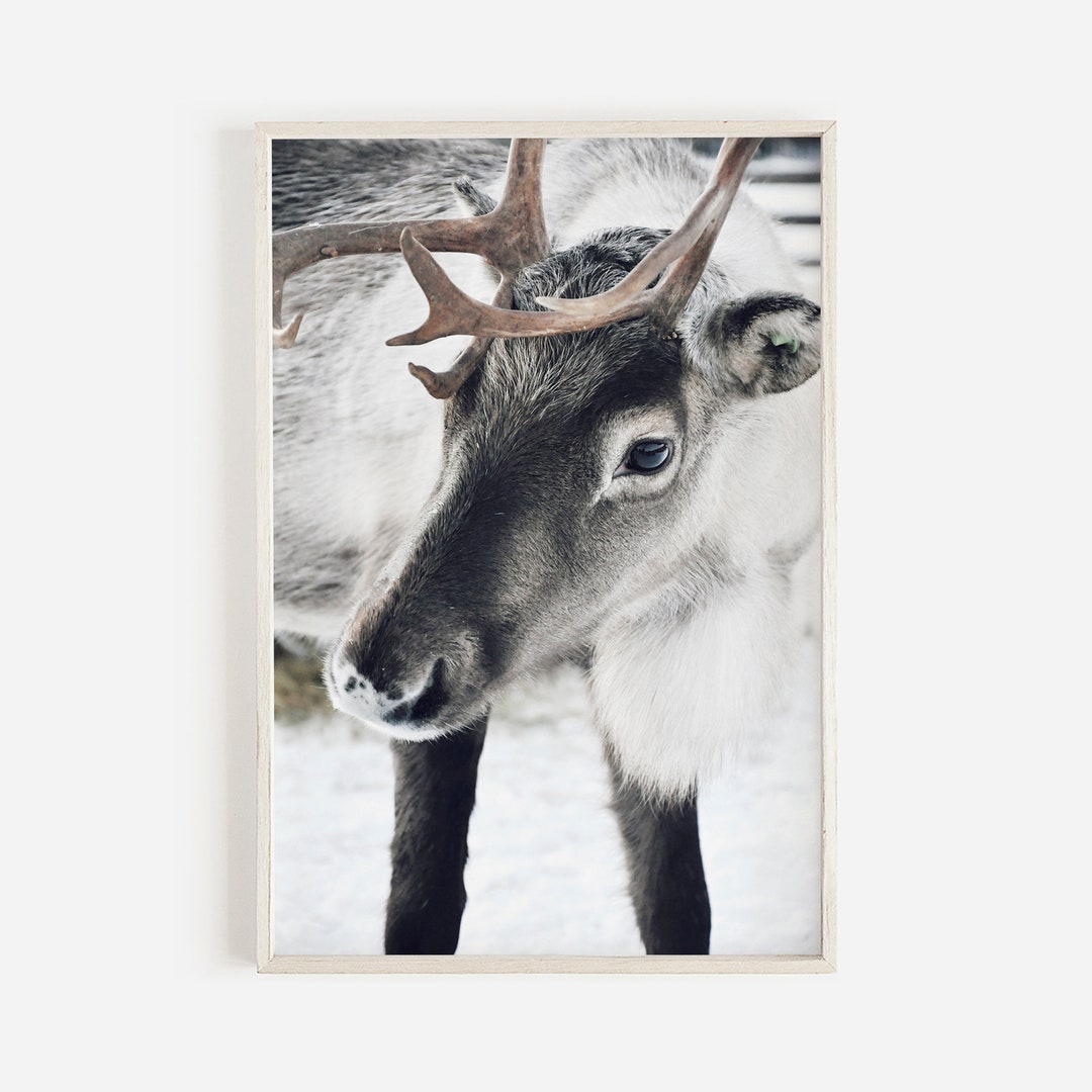 Reindeer Print, Winter Decor, Christmas Printable Art, Nordic Christmas ...