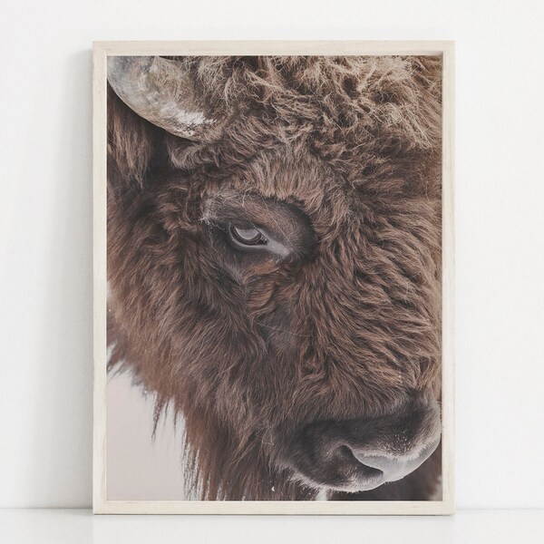 Bison - Etsy