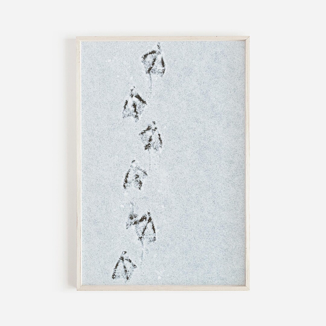 Bird Prints in the Snow, Wildlife Wall Art, Snowy Winter Poster, Tracks ...