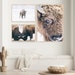 Set of 3 Prints Western Bison Prints, Buffalo Art Print Set of 3, Set ...