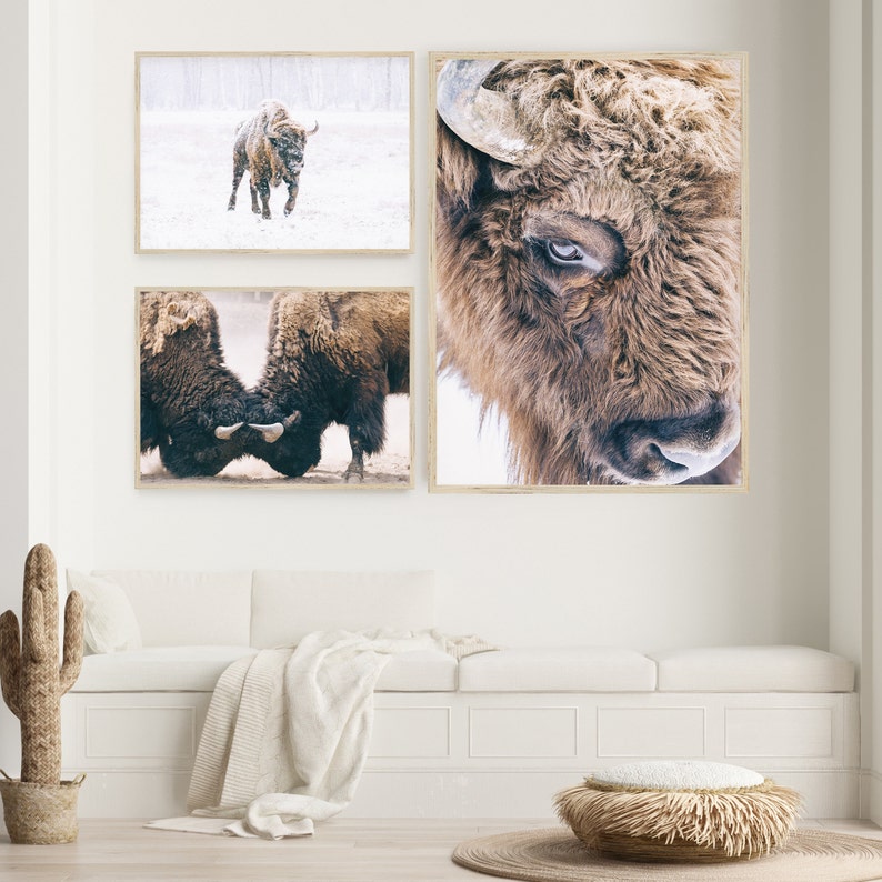 Set of 3 Prints Western Bison Prints Buffalo Art Print Set of - Etsy