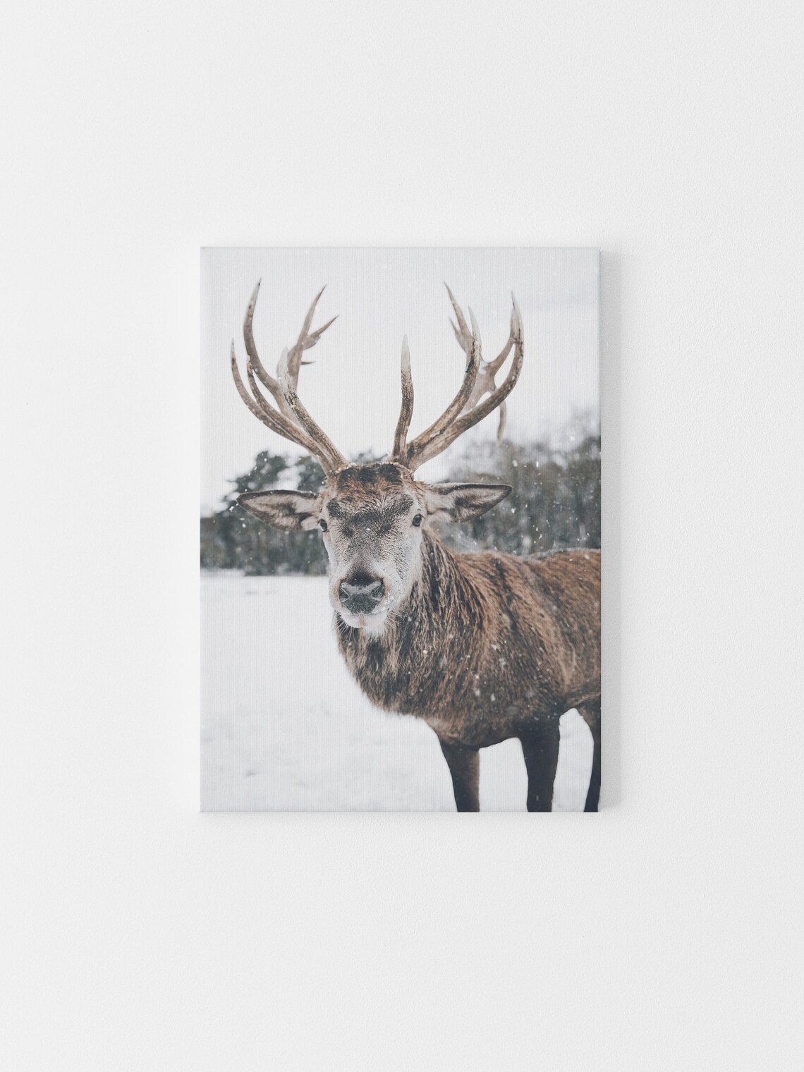 Reindeer Elk Christmas Printables Rudolf Deer Print Winter | Etsy