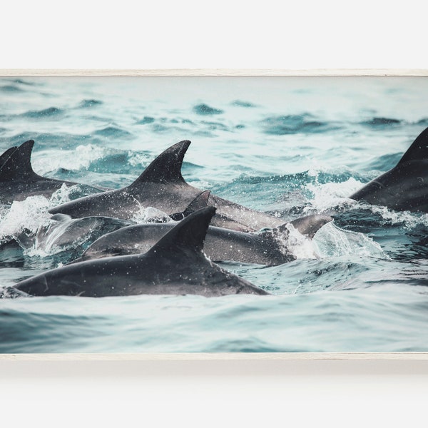 Dolphin Photo Frame - Etsy