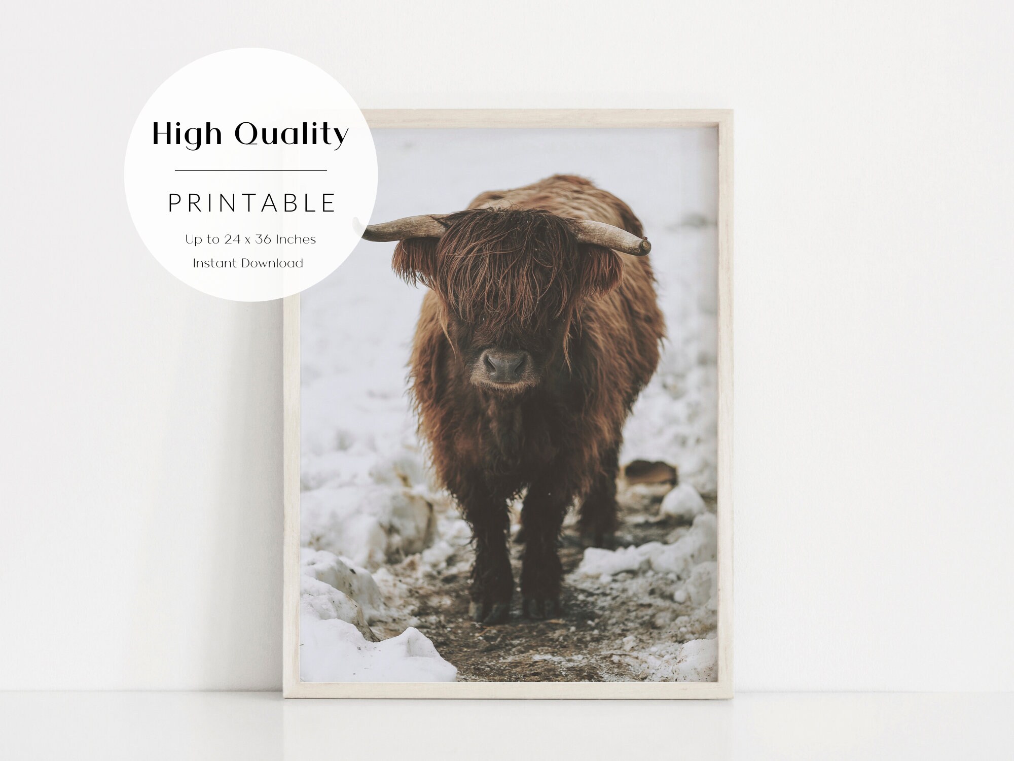 Highland Cow Print Southwestern Decor Modern Rustic Farmhouse | Etsy