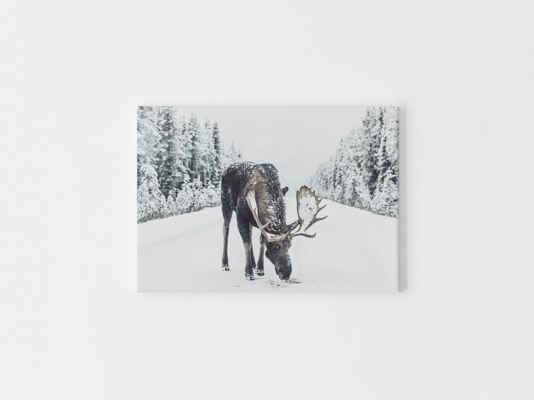 Moose in Snow Print, Christmas Decor, Farmhouse Print, Winter Wall Art ...