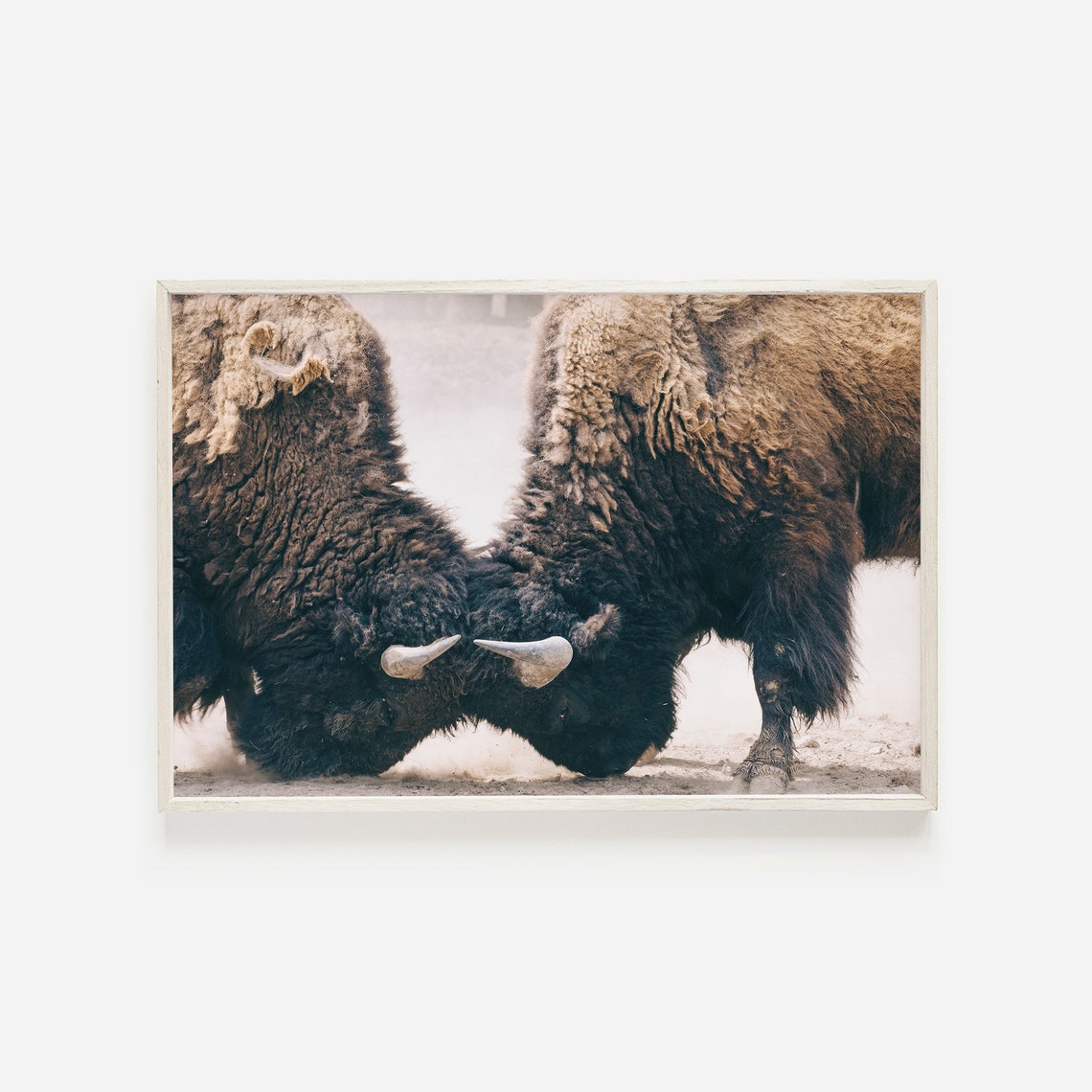 Set of 3 Prints Western Bison Prints, Buffalo Art Print Set of 3, Set ...
