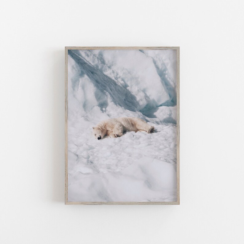 Christmas Printable Polar Bear Print Animal Wall Art Winter Decor Kids ...