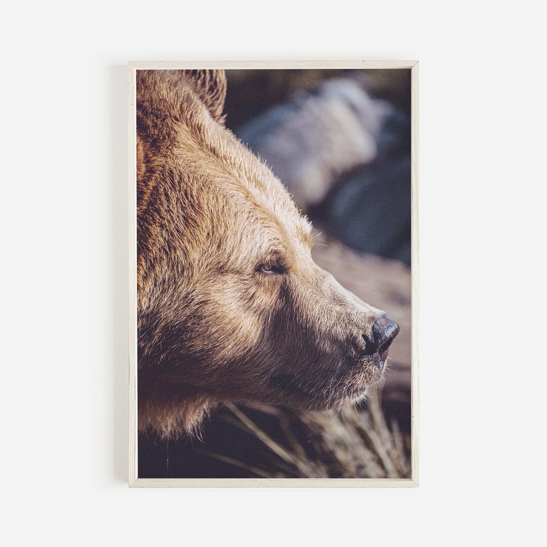 Bear Print Bear Printable Nursery Grizzly Brown Bear Wall Art Woodland ...