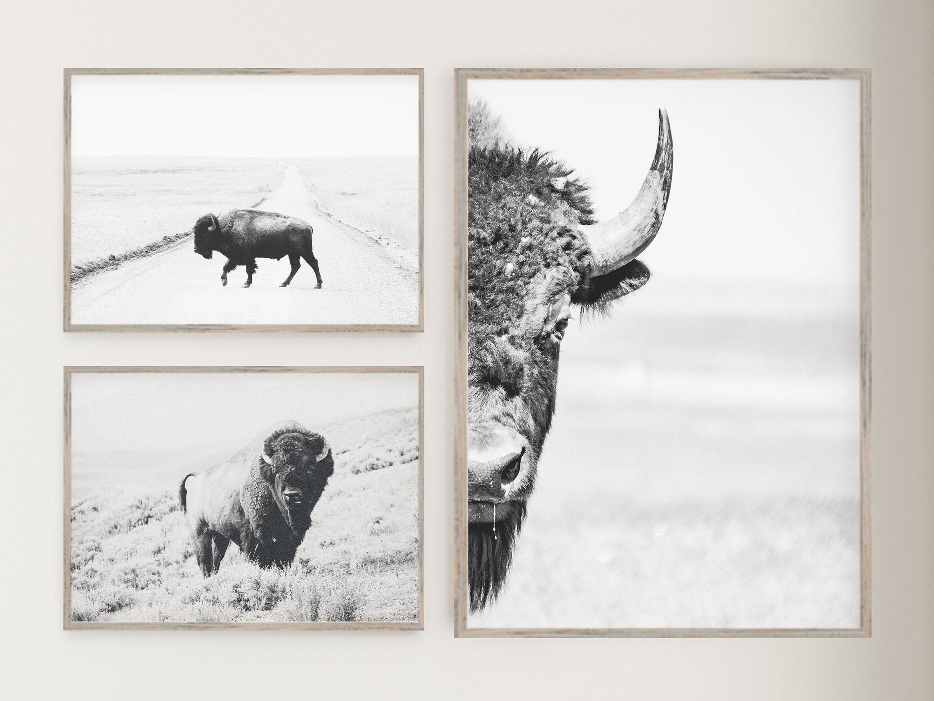 Custom Bison Print Set of 3 Western Prints Bison Print - Etsy