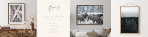AlamedaPrintShop - Etsy