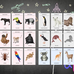 Learning Cards - Animals - Printable Educational Cards, Instant ...
