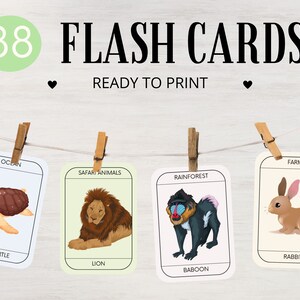 Learning Cards Animals Printable Educational Cards, Instant Download ...