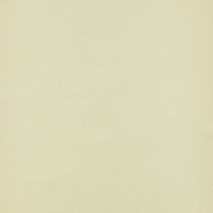 Please Draw Your Beautiful Work / Japanese Plain Empty "paper" Kakejiku ...