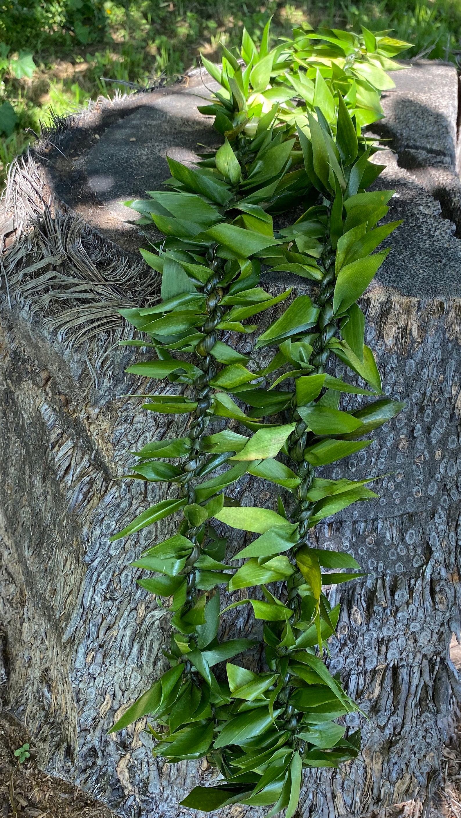 Maile Style Ti Leaf Lei - Etsy