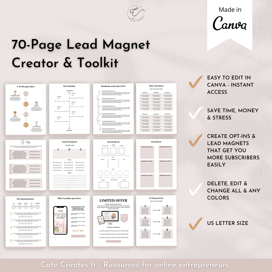 Lead Magnet Canva Template Opt-in Templates Worksheet | Etsy