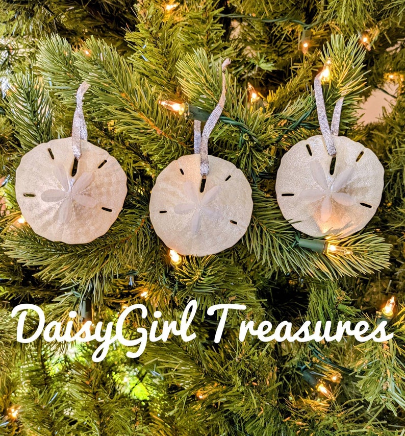Keyhole Sand Dollar / Keyhole Sand Dollar Ornaments / Beach Ornaments ... Keyhole Sand Dollar / Keyhole Sand Dollar Ornaments / Beach Ornaments ...