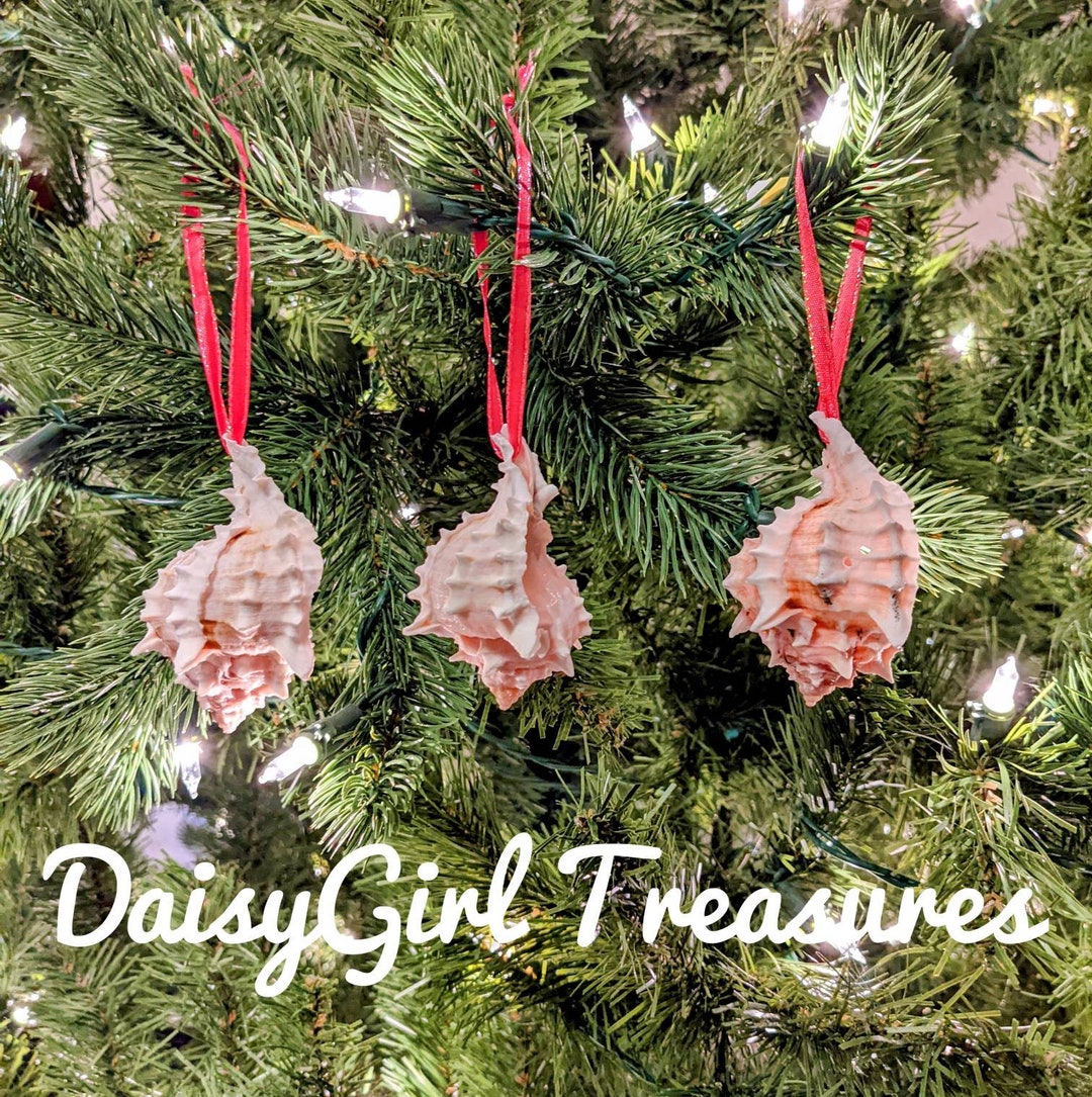 Pink Murex / Pink Murex Seashell / Seashell / Seashell Ornaments ...
