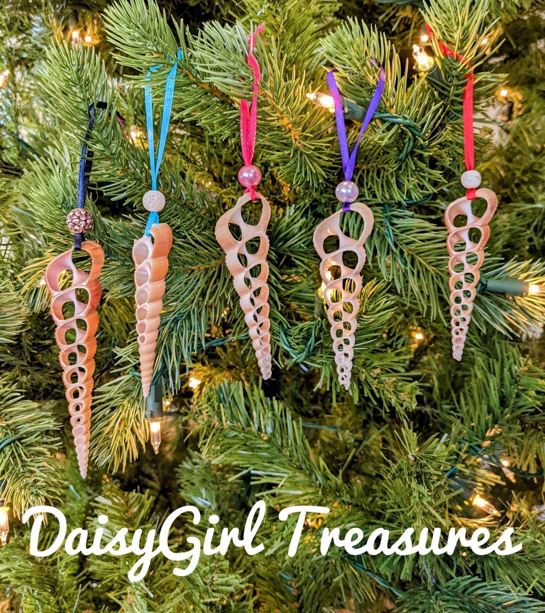 Brown Auger Seashell / Cut Brown Auger Seashell / Beach Ornaments ...