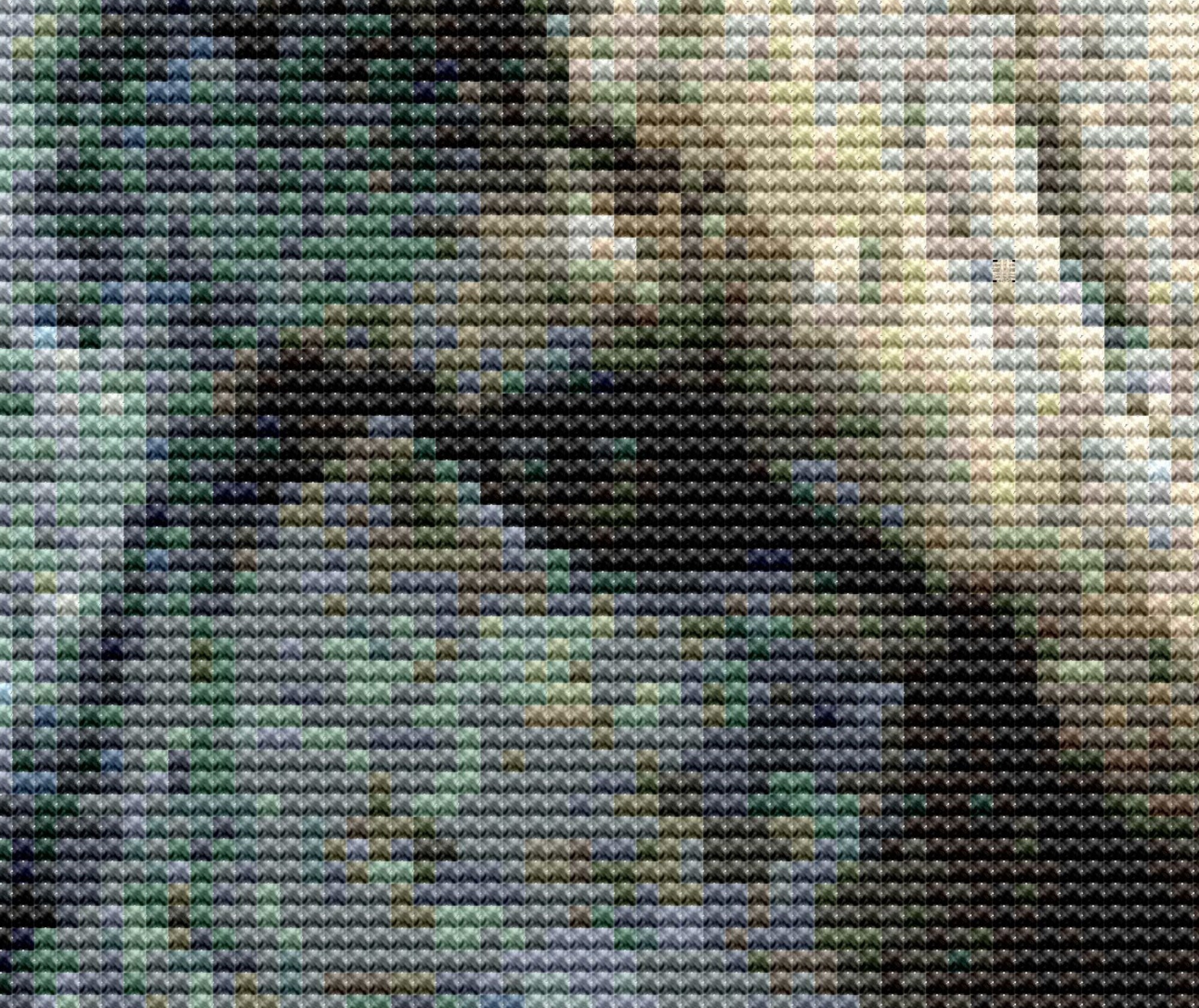 Coyote Counted Cross Stitch Pattern PDF Down Load 170 - Etsy Ireland