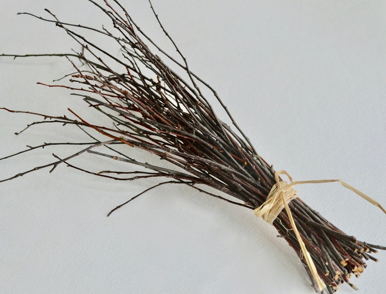 Cherry Wood Twigs ~twig Bundle ~ Cherry Wood Branch ~ Fall Decor ~ Fall ...