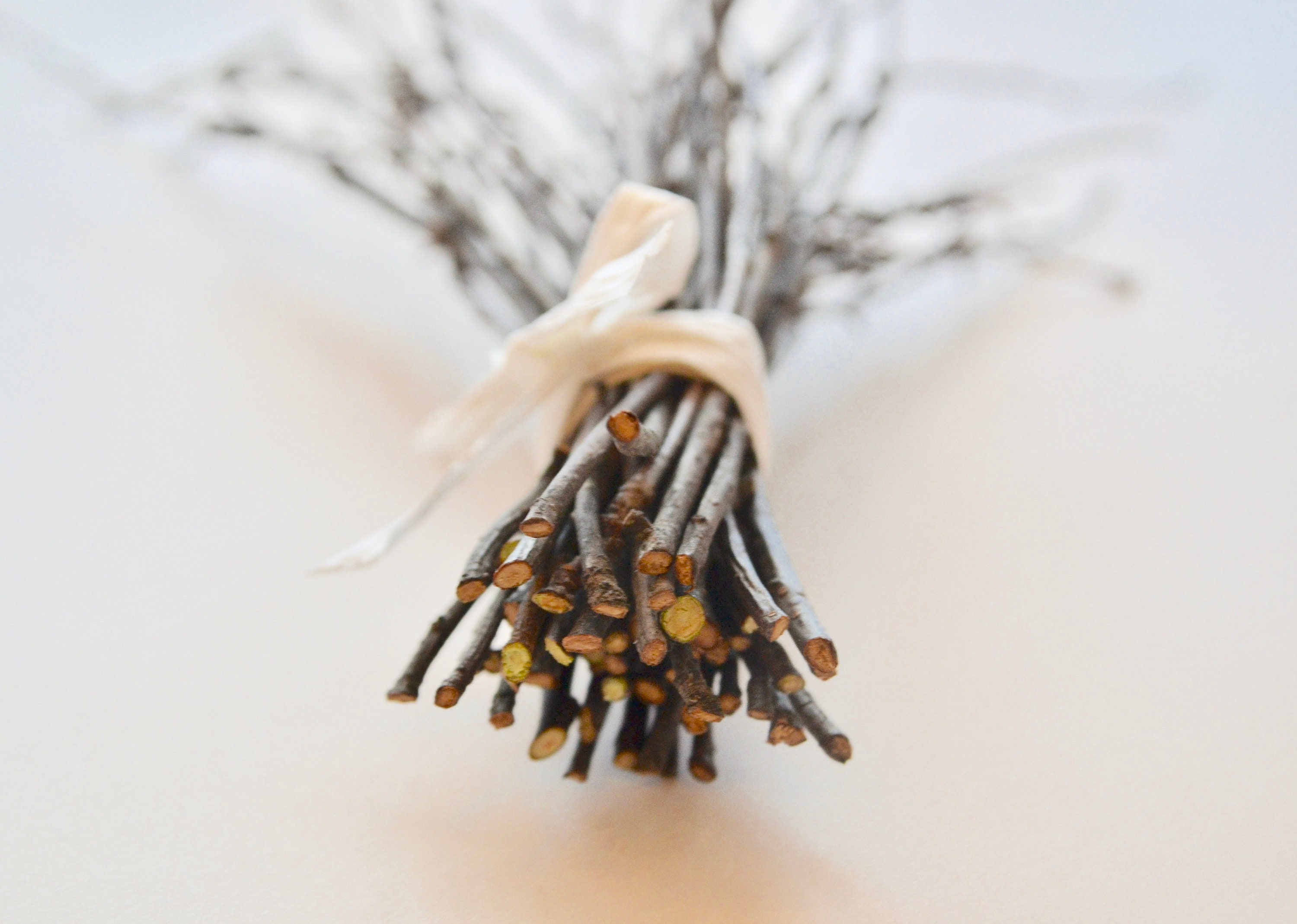 Cherry Wood Twigs ~twig Bundle ~ Cherry Wood Branch ~ Fall Decor ~ Fall ...