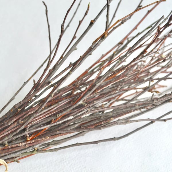 Twig Bundle - Etsy