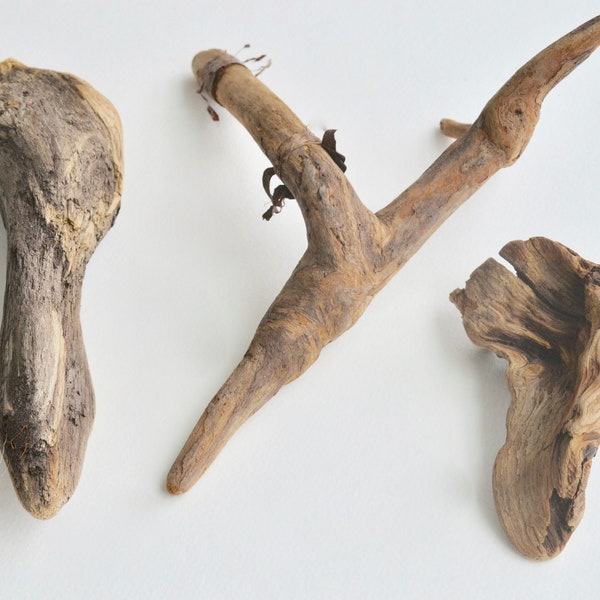 Cherry Wood Twigs twig Bundle Cherry Wood Branch Fall Decor Fall ...