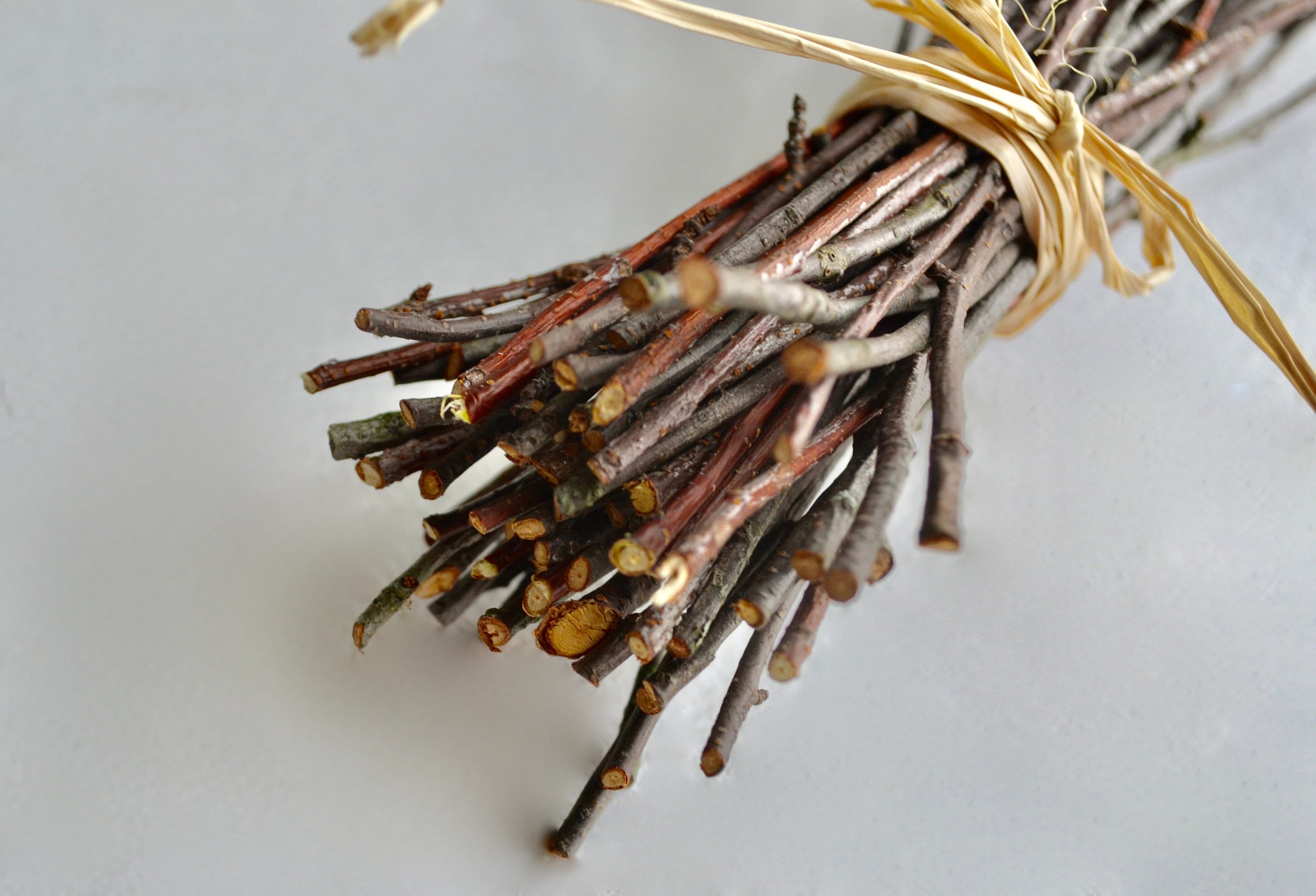 Cherry Wood Twigs ~twig Bundle ~ Cherry Wood Branch ~ Fall Decor ~ Fall ...