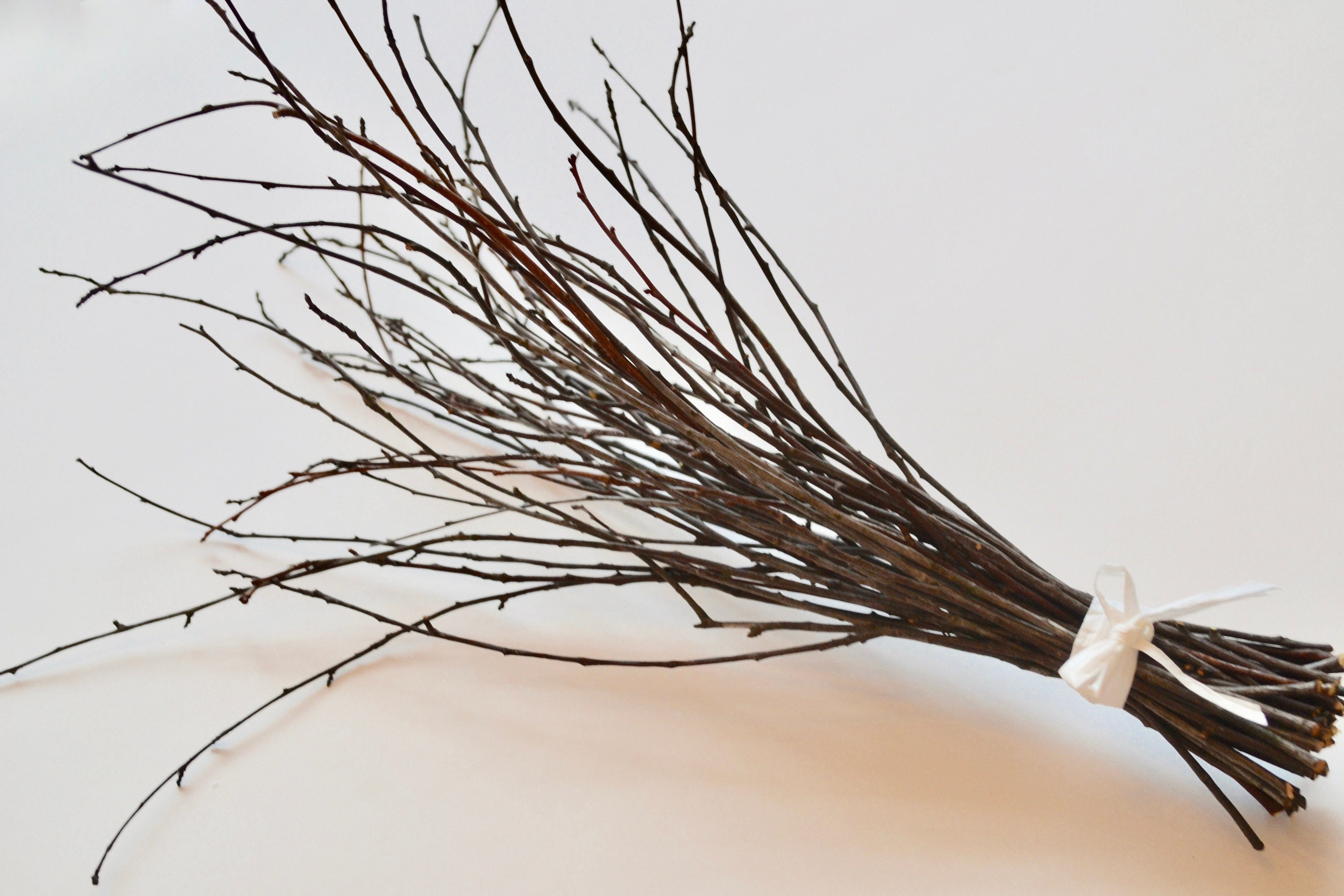 Cherry Wood Twigs ~twig Bundle ~ Cherry Wood Branch ~ Fall Decor ~ Fall ...