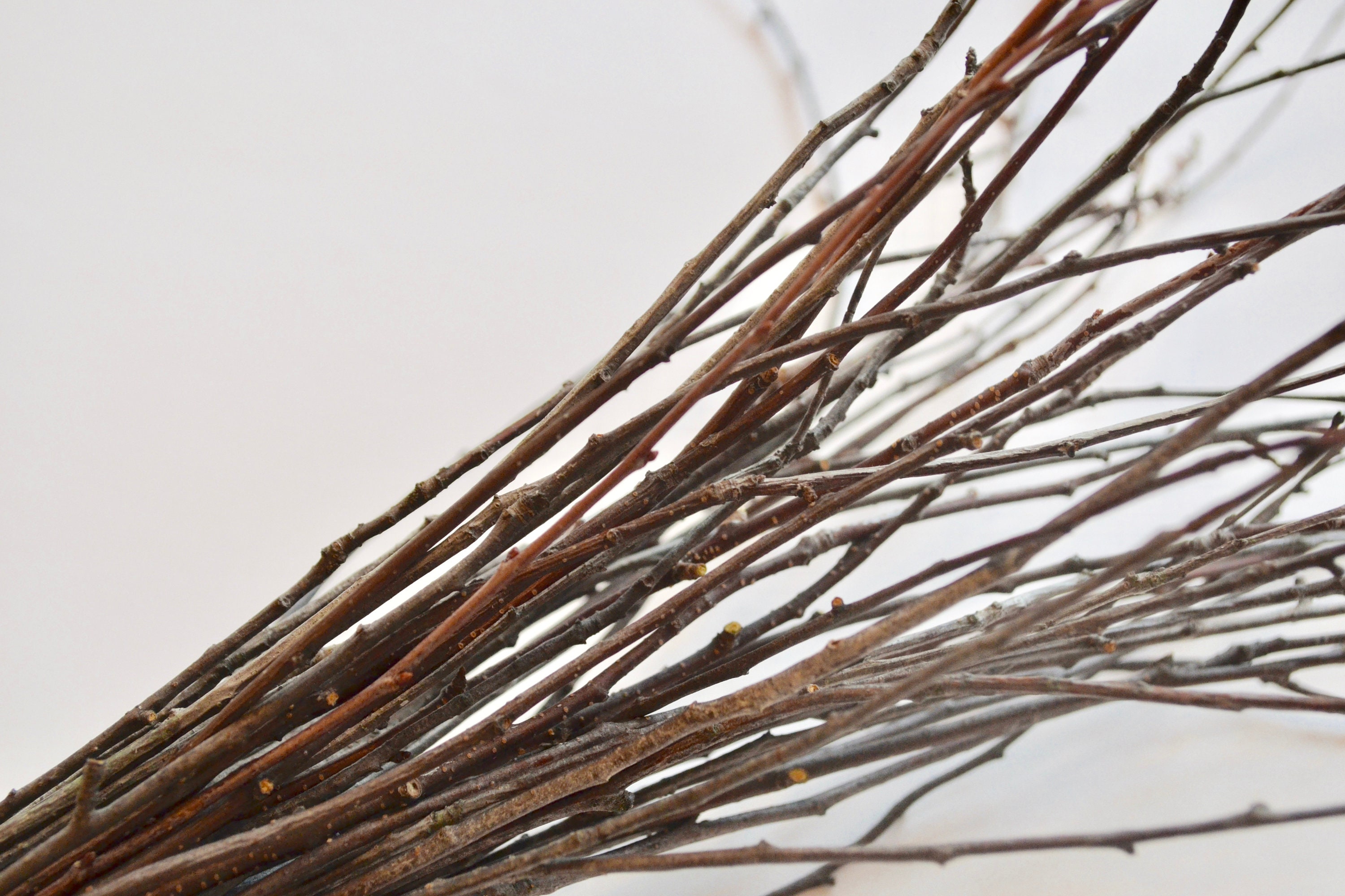 Cherry Wood Twigs ~twig Bundle ~ Cherry Wood Branch ~ Fall Decor ~ Fall ...