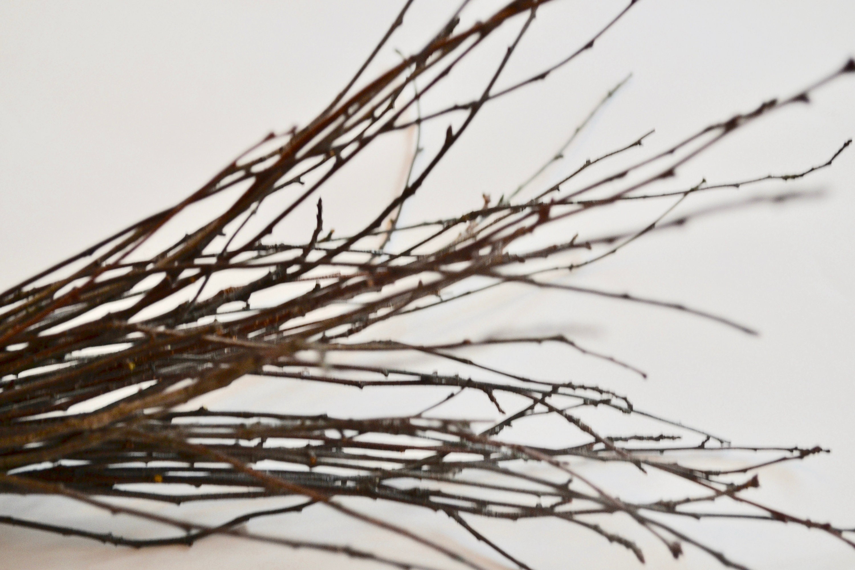 Cherry Wood Twigs ~twig Bundle ~ Cherry Wood Branch ~ Fall Decor ~ Fall ...