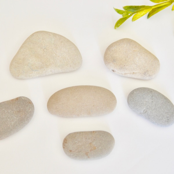 Cherry Wood Twigs twig Bundle Cherry Wood Branch Fall Decor Fall ...