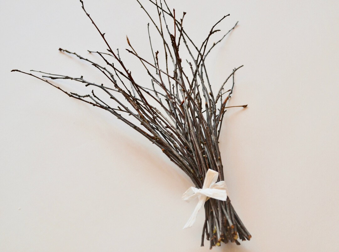 Cherry Wood Twigs ~twig Bundle ~ Cherry Wood Branch ~ Fall Decor ~ Fall ...