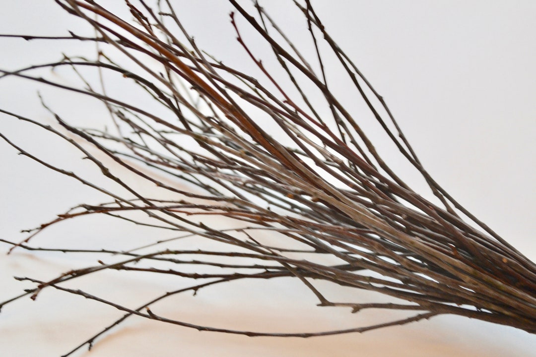 Cherry Wood Twigs ~twig Bundle ~ Cherry Wood Branch ~ Fall Decor ~ Fall ...