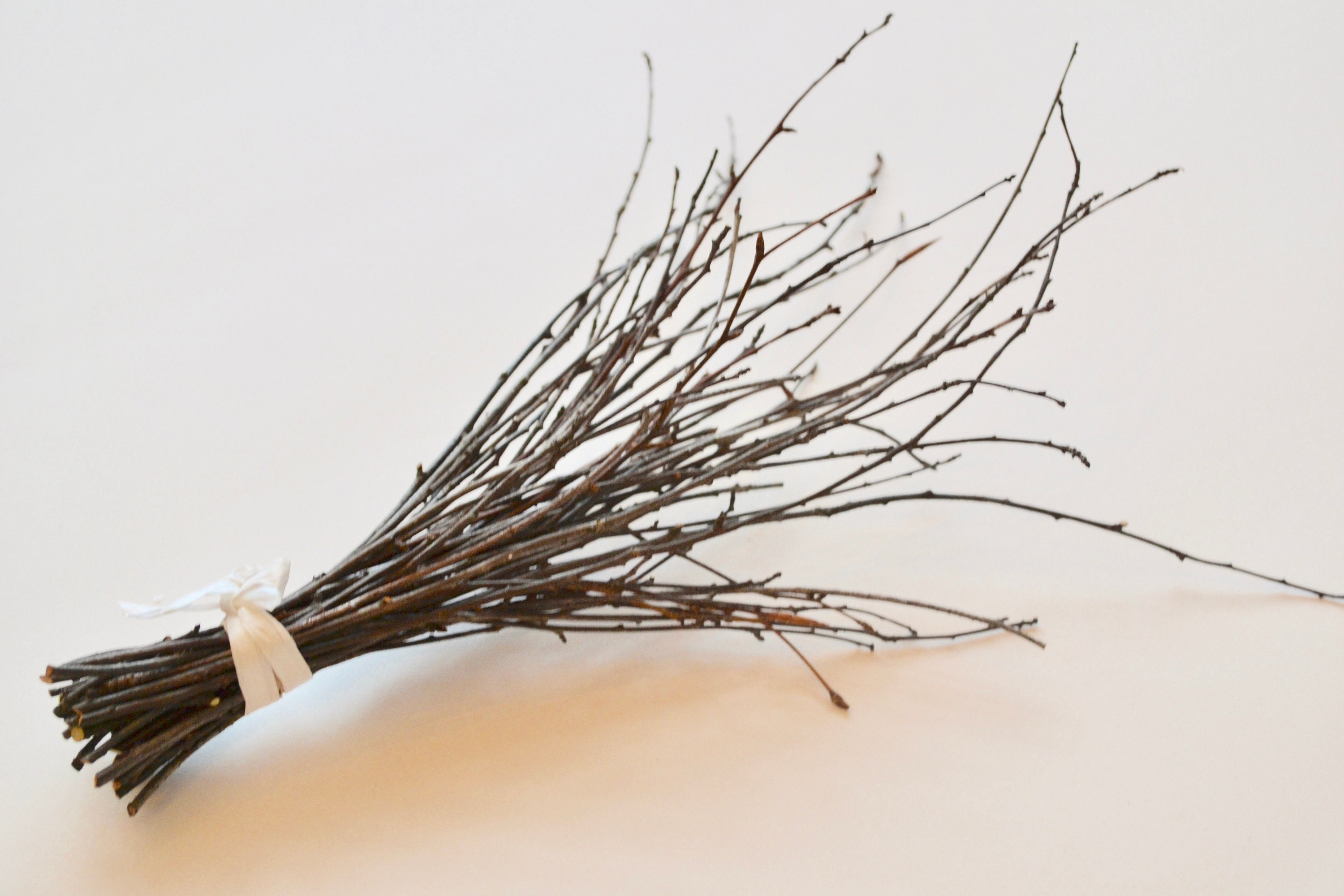 Cherry Wood Twigs ~twig Bundle ~ Cherry Wood Branch ~ Fall Decor ~ Fall Wedding Decor ~ Winter ...