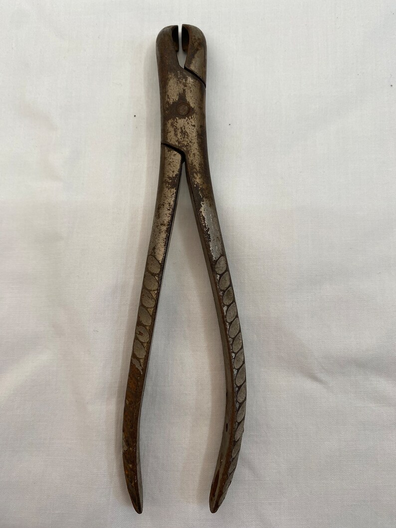 Antique Dental Tool Tooth Extractor Pliers - Etsy