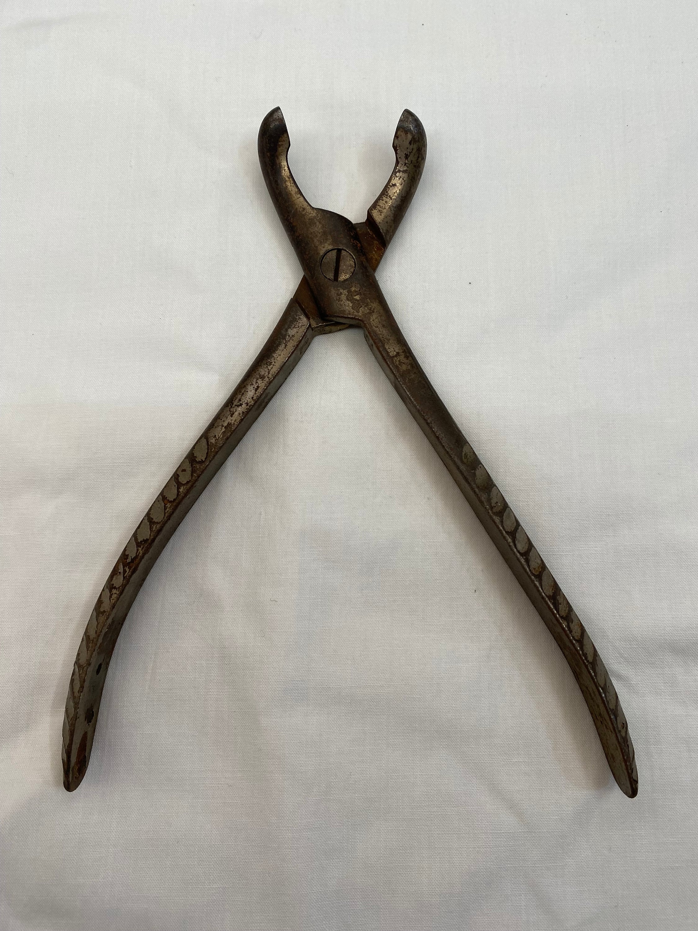Antique Dental Tool Tooth Extractor Pliers - Etsy