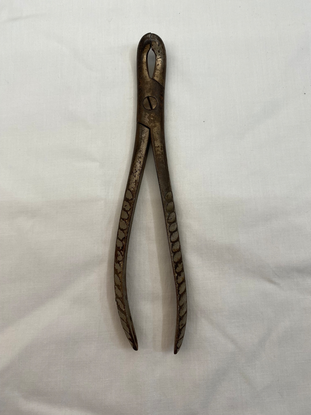 Antique Dental Tool Tooth Extractor Pliers - Etsy