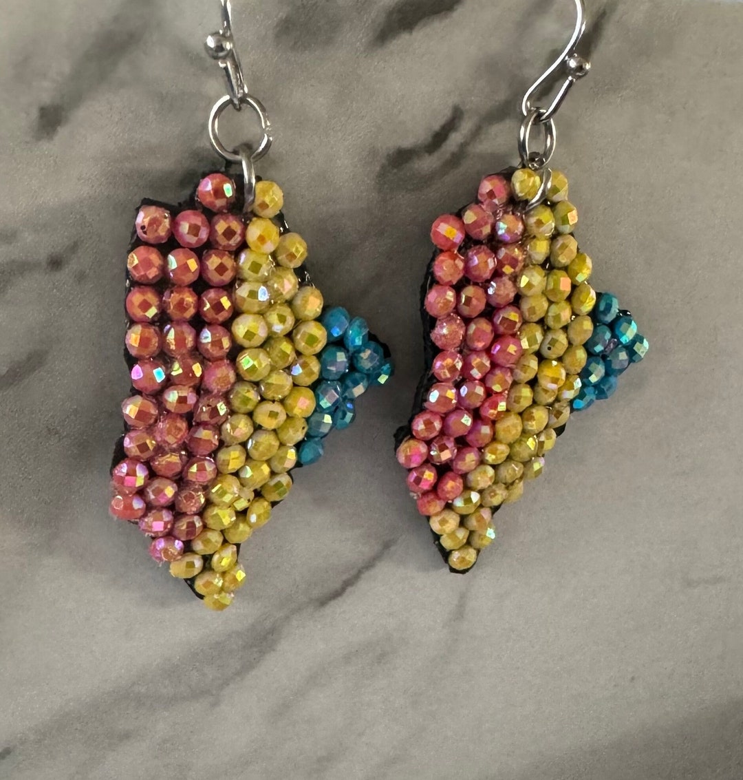 Pansexual LGBTQIA Pride Flag/ Maine State Earrings With Black Backing - Etsy