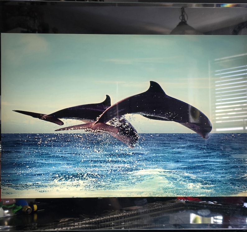 Motion Wall Hanging, Motion Picture Water, Moon, Dolphin, Vintage 70s ...