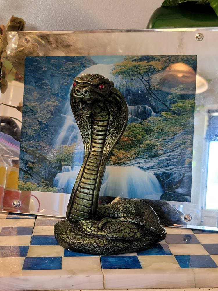 King Cobra Habitat Diorama
