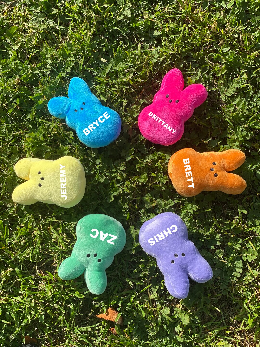 Personalized Plush PEEP Stuffed Bunny for Easter! - Etsy