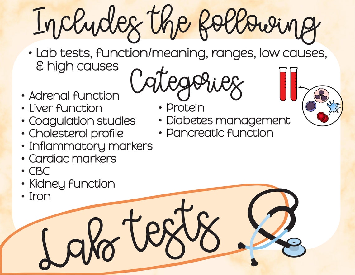 Lab Tests, for Nursing Students, Nurses, Medical Terminology, Digital ...