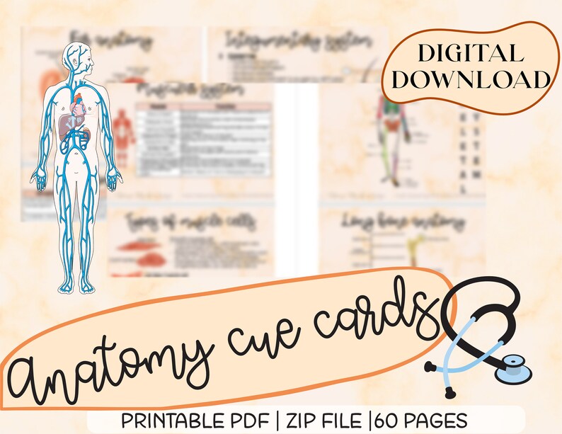 Anatomy Cue Cards, for Nursing Students, Nurses, Medical Terminology ...