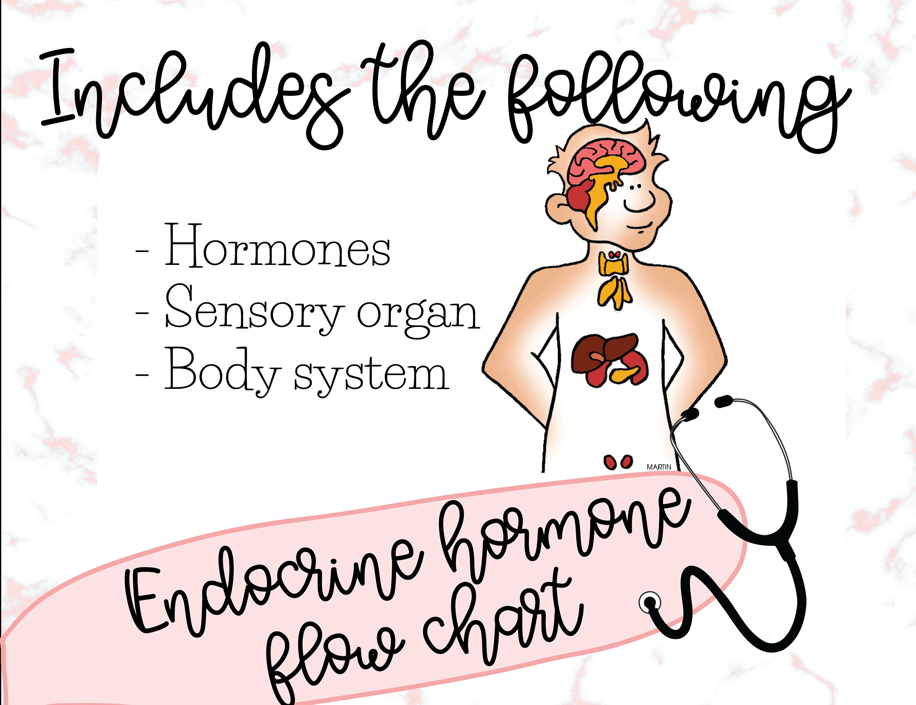 Endocrine Hormones Flow Chart Nursing Student Nurses | Etsy