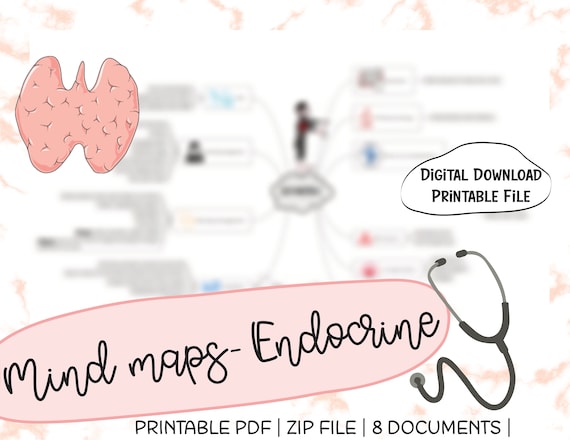 Mind Maps Endocrine System for Nursing Students Nurses - Etsy