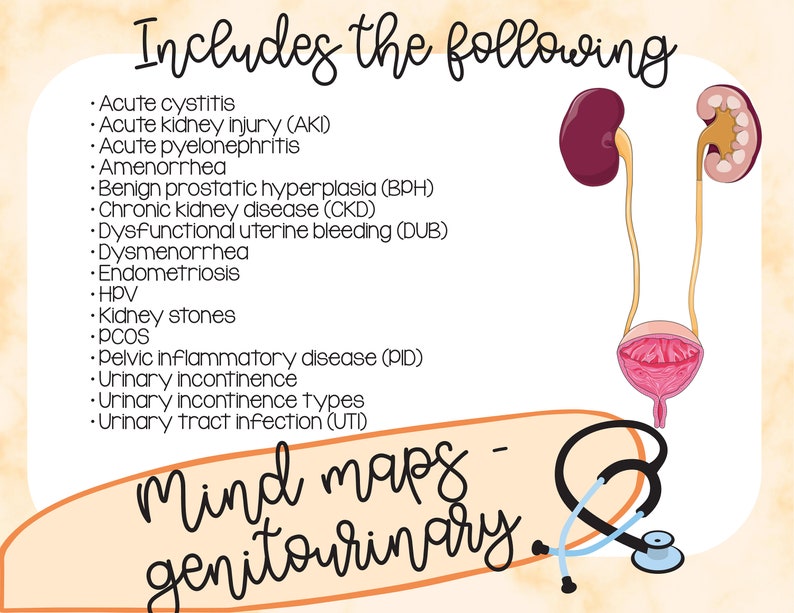 Genitourinary System Mind Maps for Nursing (digital Download) - Etsy