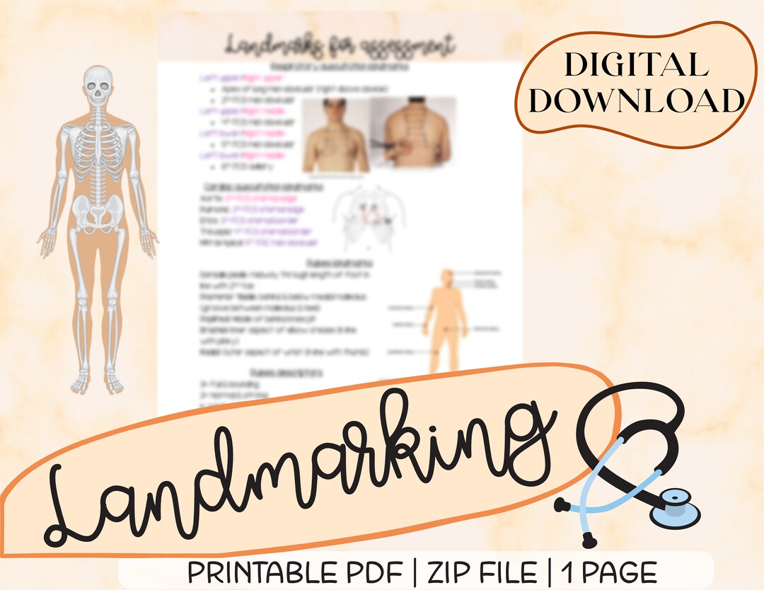 Landmarking for Nursing Assessment: Medical Terminology (digital ...