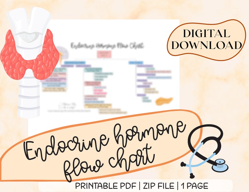 Endocrine Hormones Flow Chart: Nursing & Medical Guide (digital ...