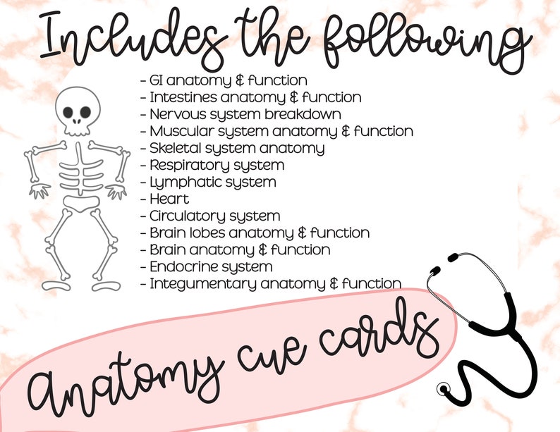 Anatomy Cue Cards for Nursing Students Nurses Medical - Etsy